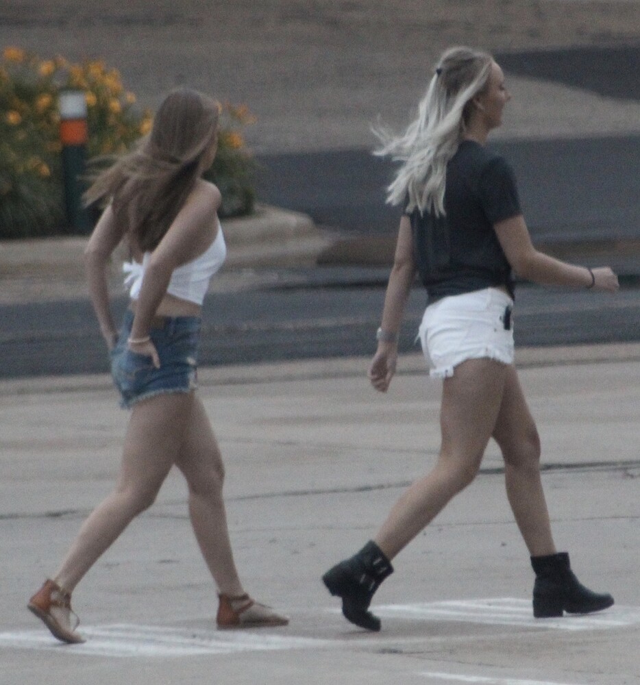 Mud crickets - Short Shorts & Volleyball - Forum