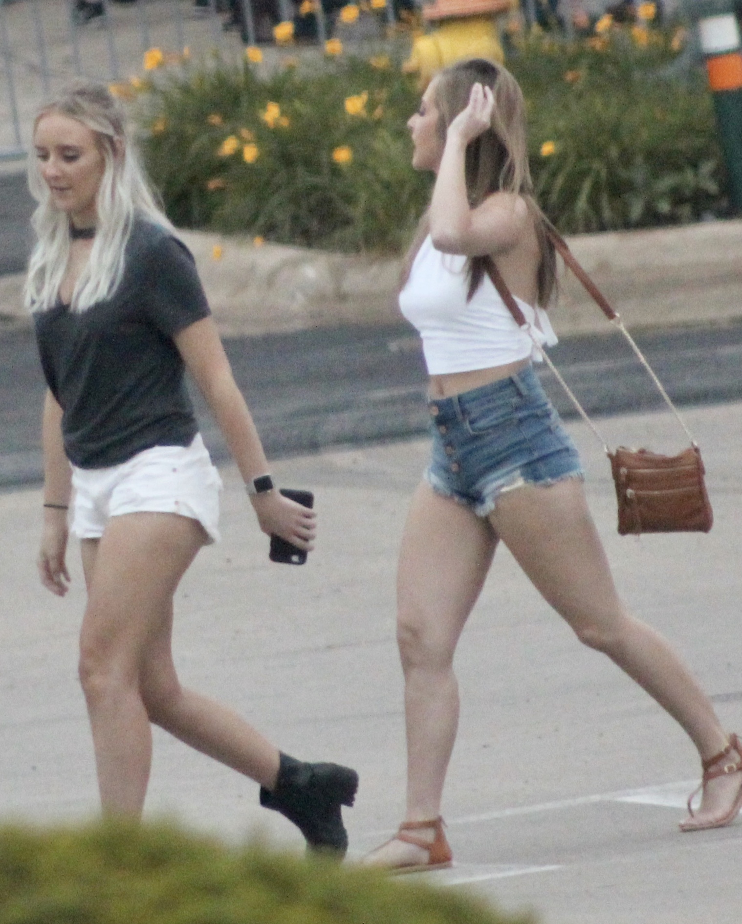 Mud crickets - Short Shorts & Volleyball - Forum