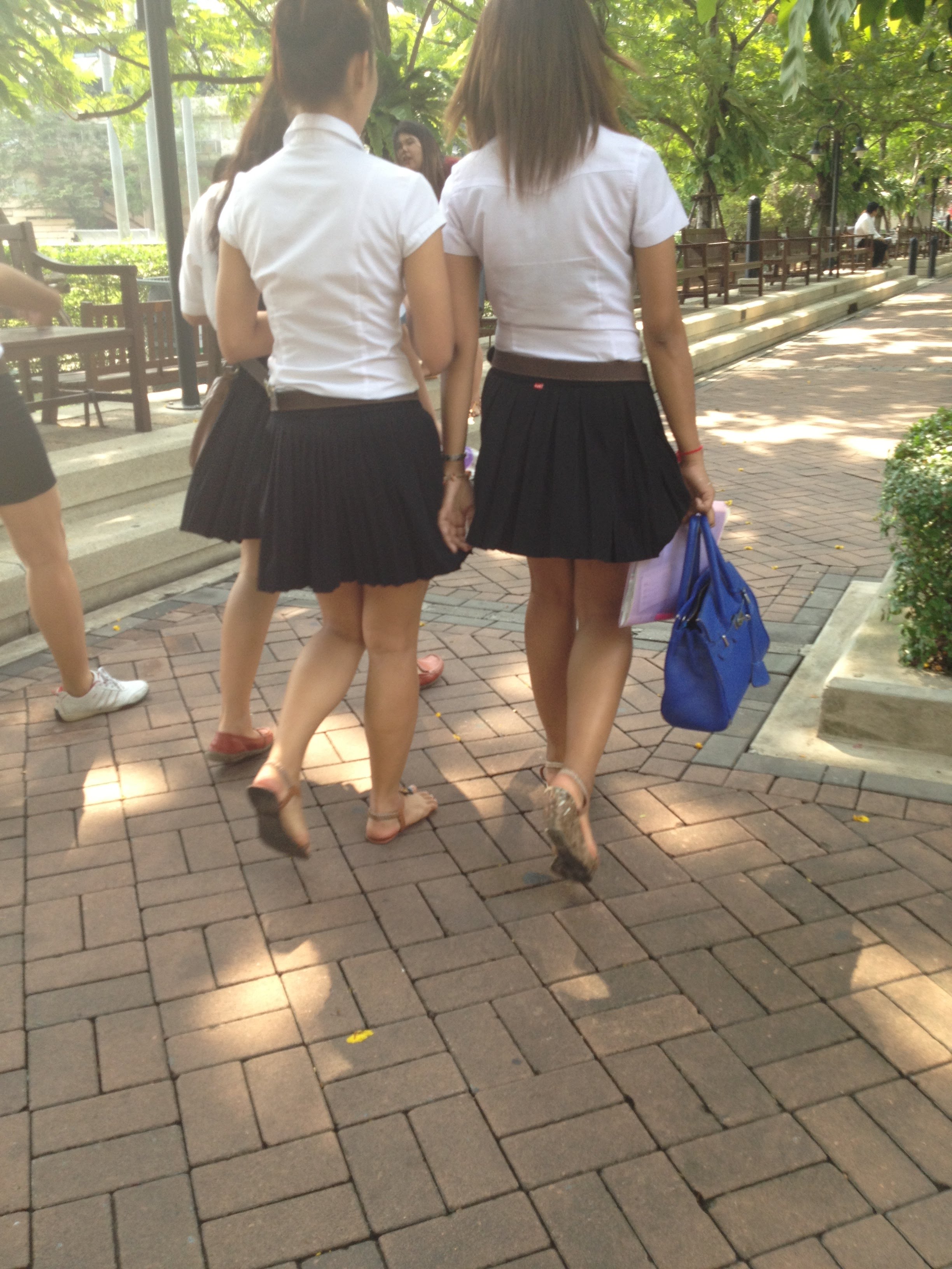 Thai University Chicks General Discussion Forum