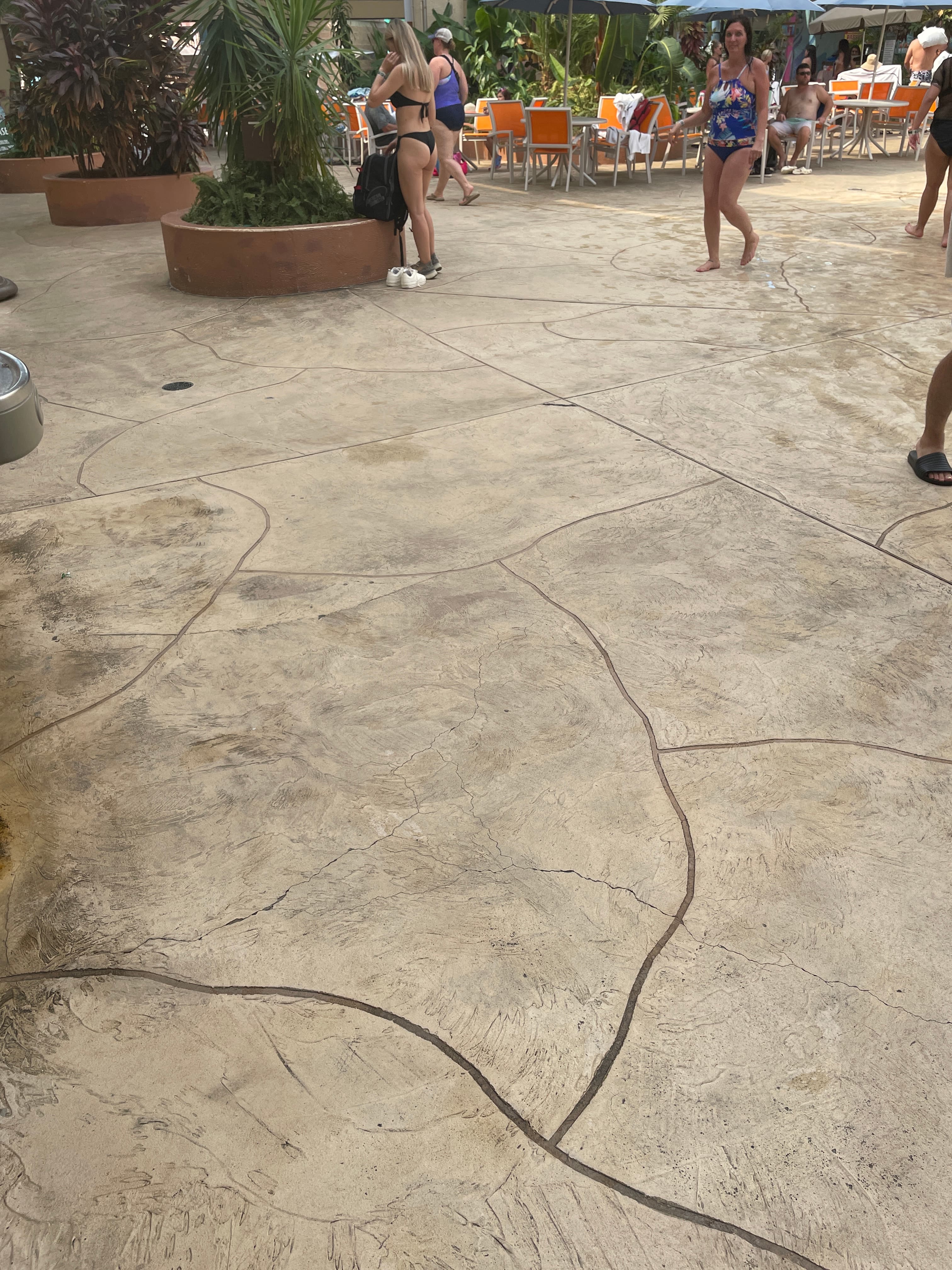 Co Ed At Indoor Pool In Thong Pics Vid Beach And Bikini Forum