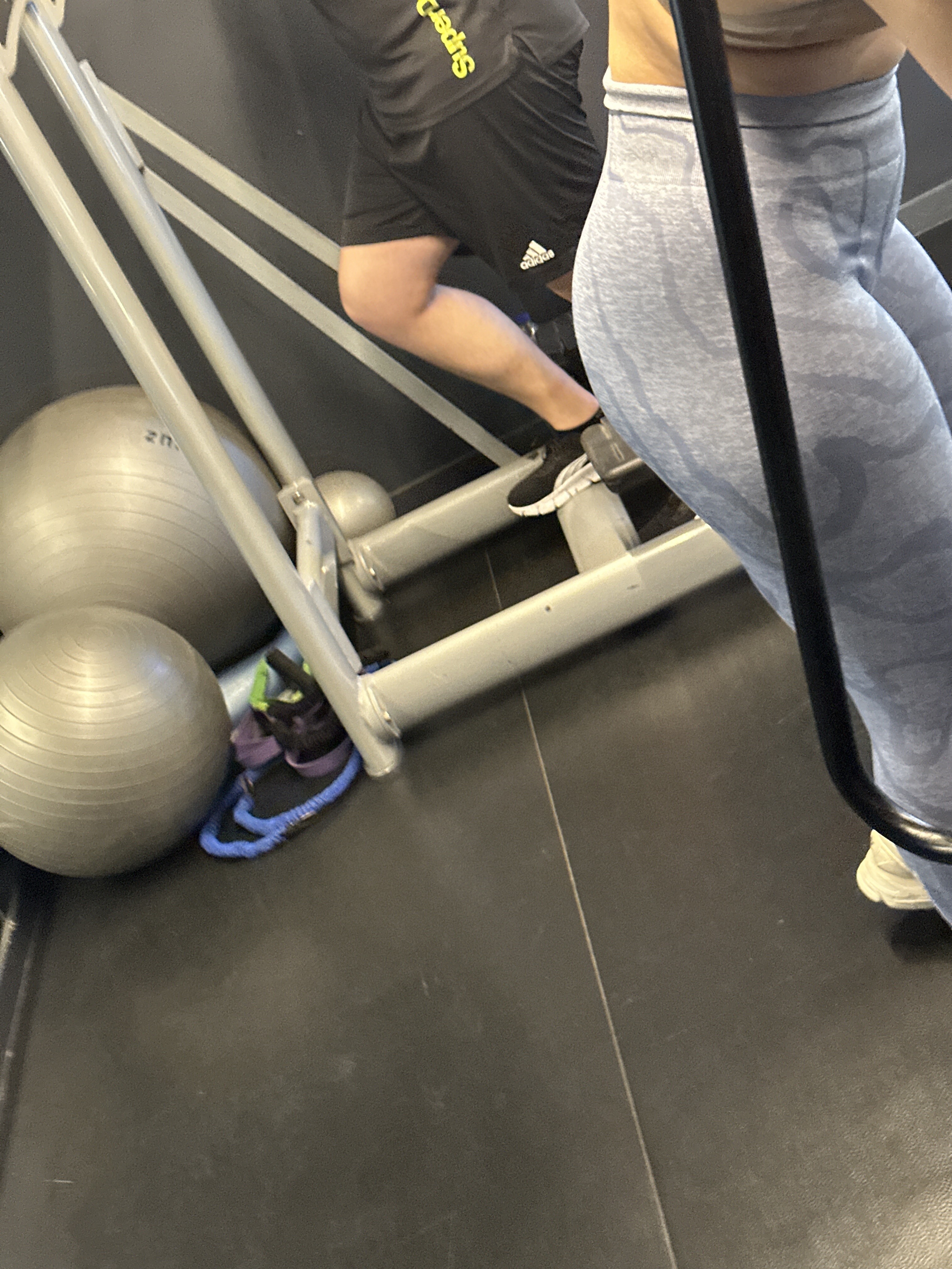 Extremely fit paws at gym - Spandex, Leggings & Yoga Pants - Forum