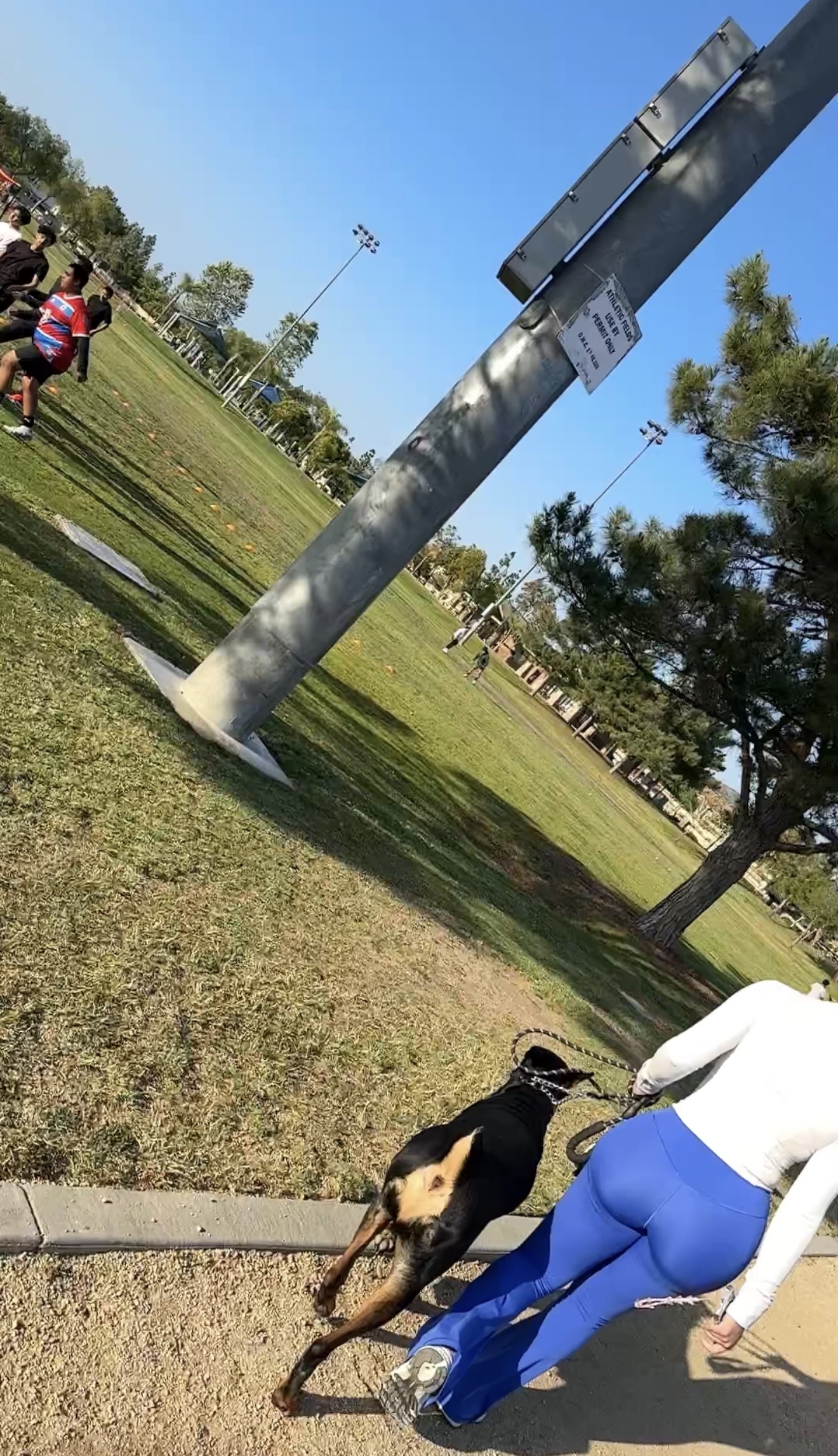 LATINA BBL BEAUTY JOGGING IN FLARES OC🔥 - Spandex, Leggings & Yoga ...