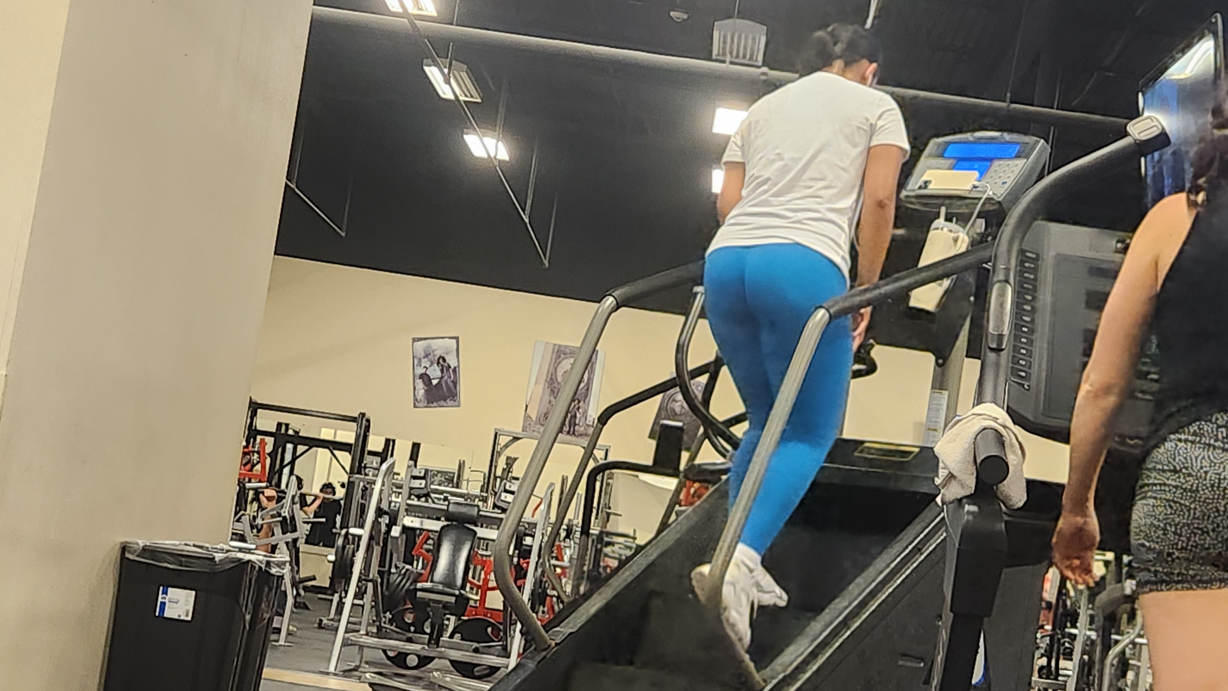 Gym Dumpy 7 - Spandex, Leggings & Yoga Pants - Forum