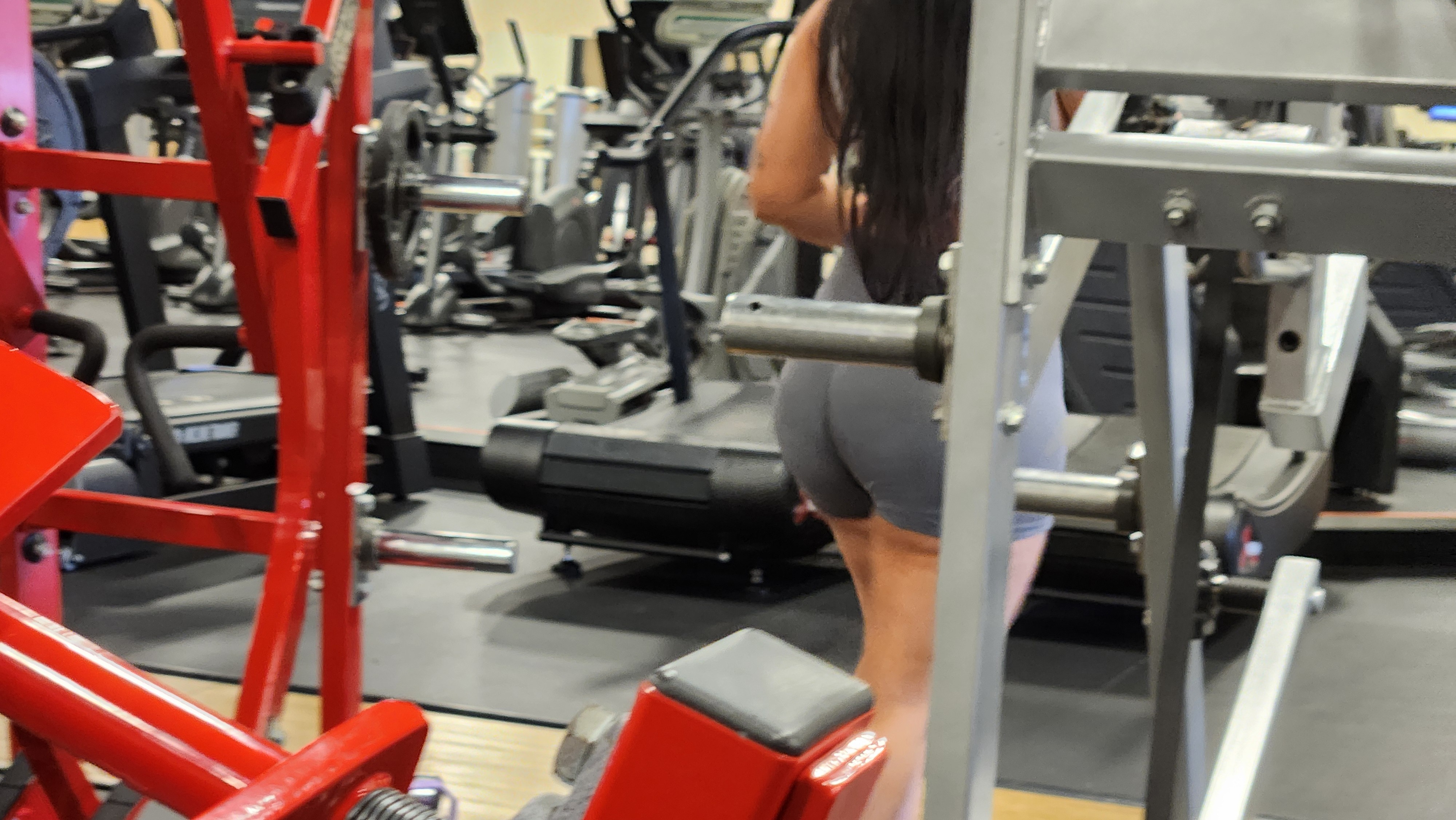 Gym Married Dumpy 3 - Spandex, Leggings & Yoga Pants - Forum