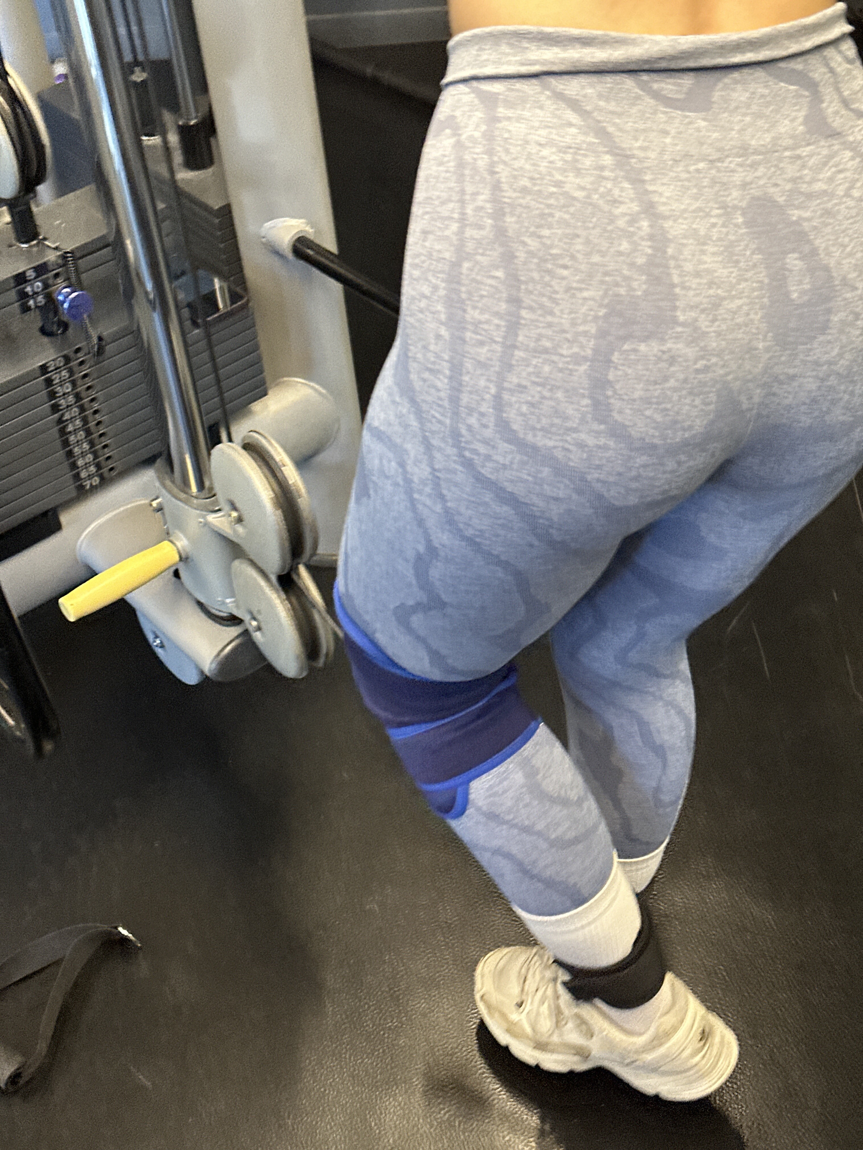 Extremely fit paws at gym - Spandex, Leggings & Yoga Pants - Forum