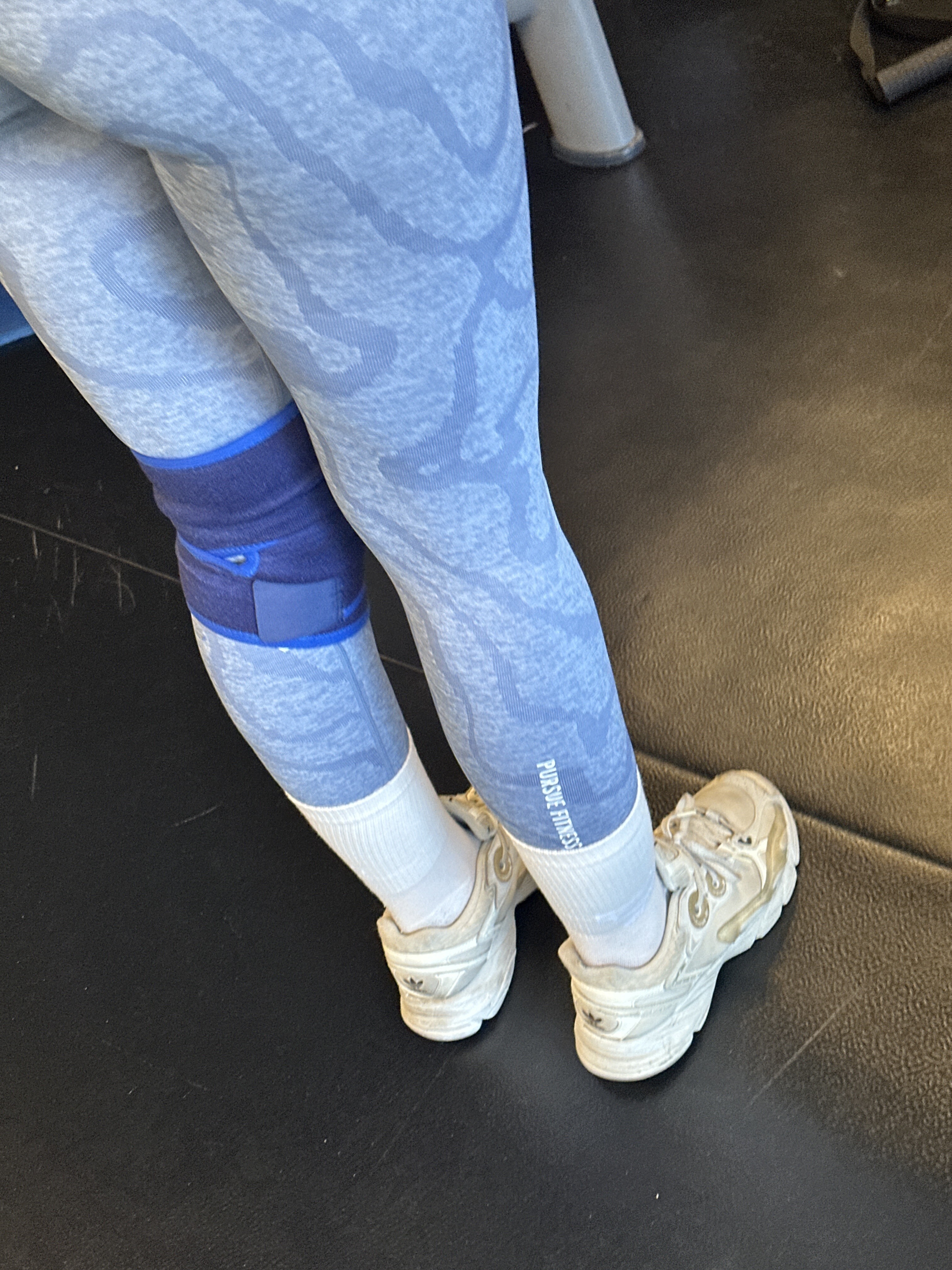 Extremely fit paws at gym - Spandex, Leggings & Yoga Pants - Forum