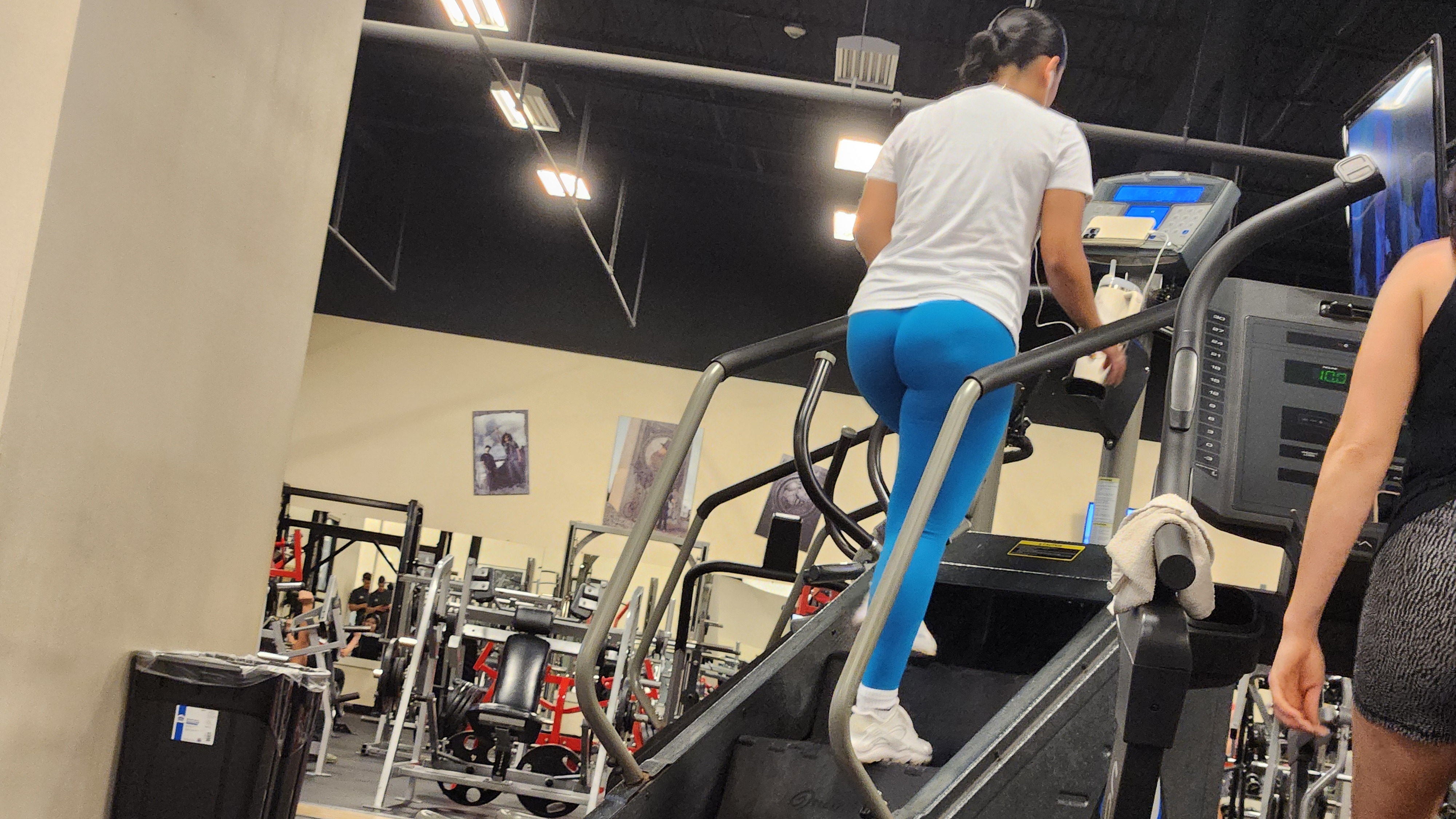 Gym Dumpy 7 - Spandex, Leggings & Yoga Pants - Forum